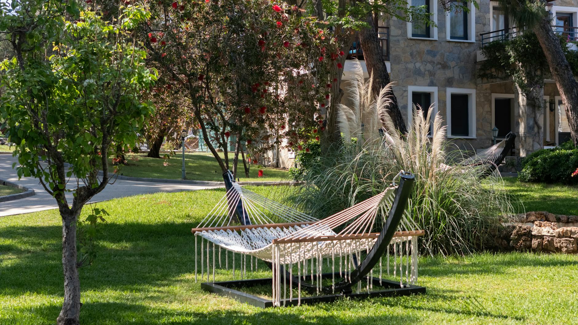 Mire figyeljünk a mediterrán növények teleltetésekor? | Green Profit